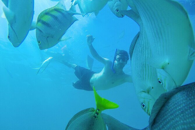 Underwater Wonders Snorkeling Adventure - Authentic Experiences and Traveler Insights