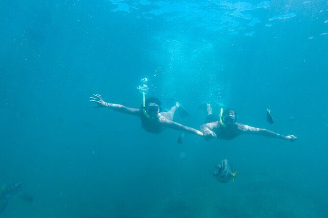 Underwater Wonders Snorkeling Adventure - The Sum Up: Who Is This Tour Best For?