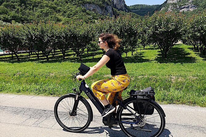 Unesco Palladian Villas in Vicenza: E-Bike private tour with picnic and aperitif - The Sum Up