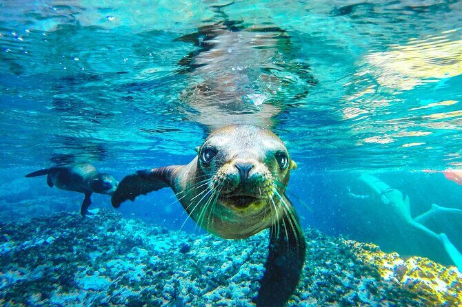 UNESCO World Heritage Site: 1 Day Coronado Island from Loreto Adventure - Exploring the Coronado Islands from Loreto: An Authentic Day Trip