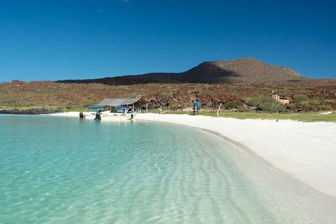 UNESCO World Heritage Site: 1 Day Coronado Island from Loreto Adventure - Practical Considerations