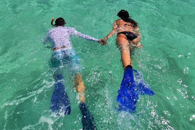 UNESCO World Heritage Site: 1 Day Coronado Island from Loreto Adventure - What Do Travelers Say?