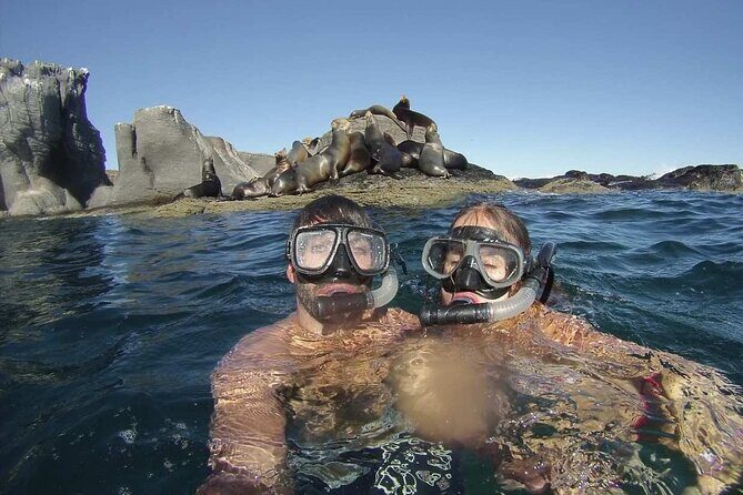 UNESCO World Heritage Site: 1 Day Coronado Island from Loreto Adventure - FAQs