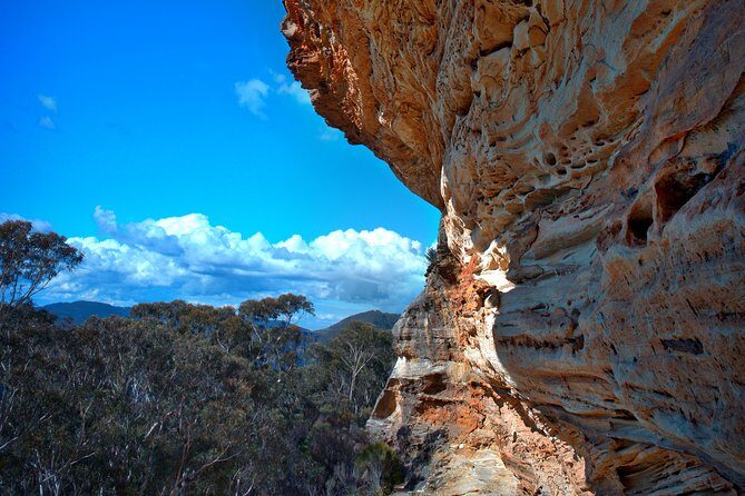 Unforgettable Blue Mountains Day Tour - Who Is This Tour Best For?