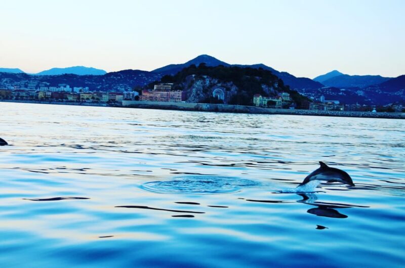 Unforgettable Boat Excursion - How About the Cost and Value?