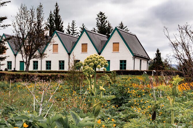 Unforgettable Full-Day Golden Circle Private Tour from Reykjavík - Price and Value Consideration