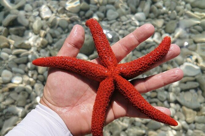 Unforgettable kayaking adventure in Pula! - The Itinerary: What Makes Each Stop Special