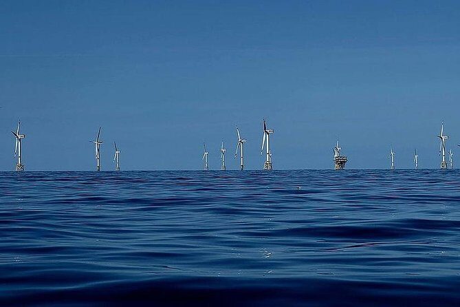 Unforgettable sea trip to the wind farms in the North Sea - An In-Depth Look at the North Sea Windmills Boat Tour