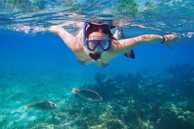 Unforgettable Snorkel Adventure in Cancun whit Transpotations - How Does It Value?