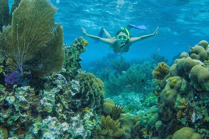 Unforgettable Snorkel Adventure in Cancun whit Transpotations - What Do Travelers Say?