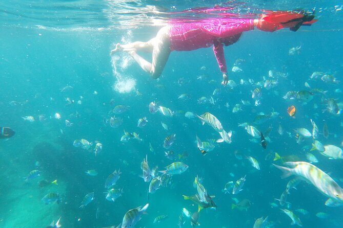 unforgettable snorkeling activity in The Sea of Cortes - Authentic Experiences from Reviewers