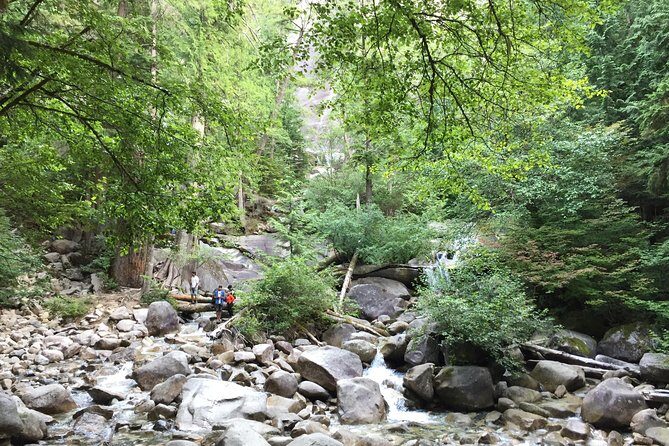 Unforgettable Whistler ( Full Day Private Tour) - FAQ