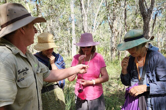 Unique and Personal BushTracks Eco Tour in Agnes Water 1770 - An In-Depth Look at the BushTracks Eco Tour