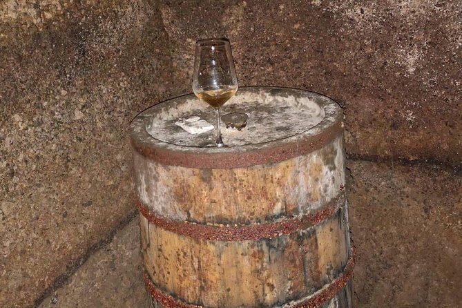 Unique EnoBike experience with tasting in 2 excellent wineries - An In-Depth Look at the Experience