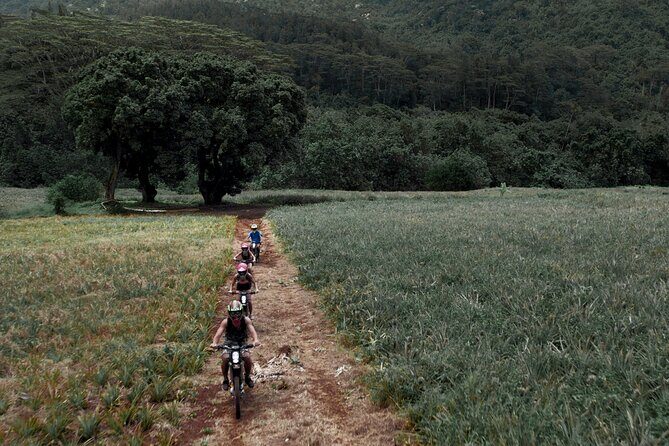 Unique excursion to Moorea on a 100% electric motorbike - FAQs