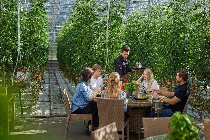 Unique Private Golden Circle, Secret Lagoon & Friðheimar Tour - Final Thoughts