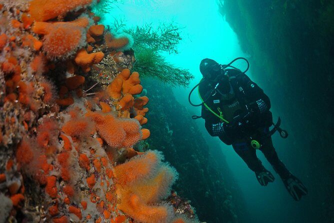 Unique Scuba Diving Experience - Key Points