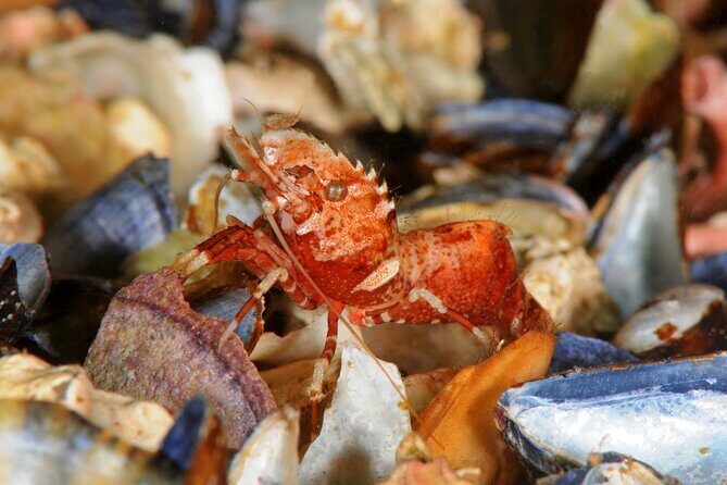 Unique Scuba Diving Experience - Equipment and Safety