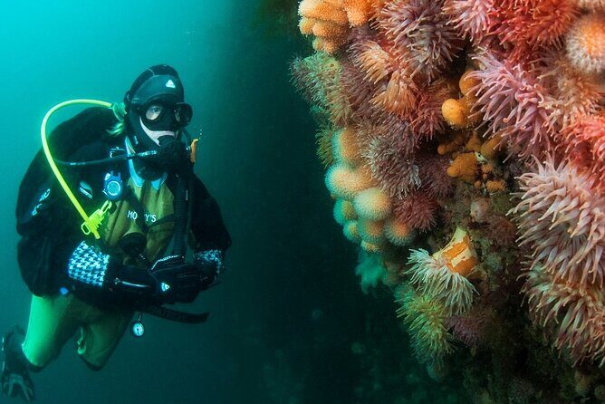 Unique Scuba Diving Experience - Value for Money