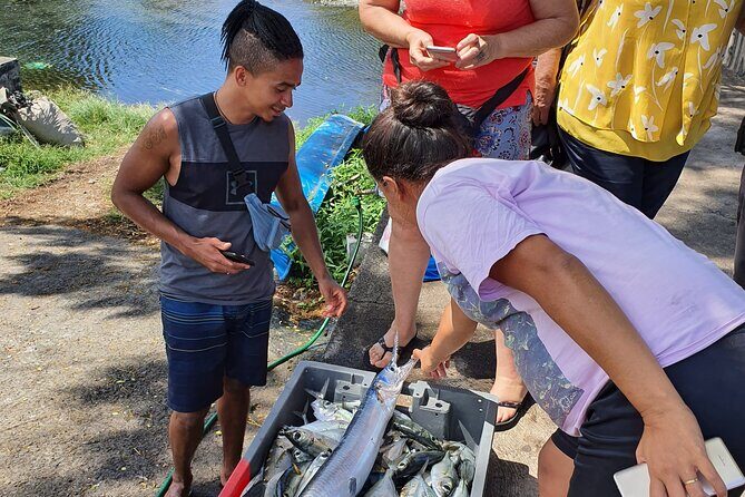 Unique Tahiti Tour - personalised, small group west coast tour - FAQ