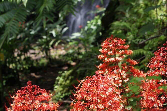 Unique Tahiti tour to Teahupoo, small group, full day combo tour - Teahupoo