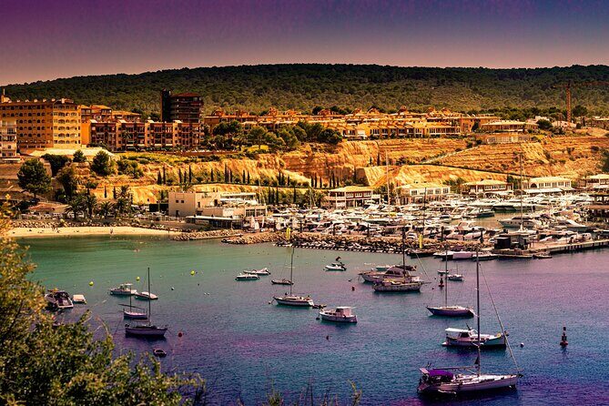 Unique V8 Trike Tour to the Tramuntana Mountains min2 max.4 Pers - FAQ