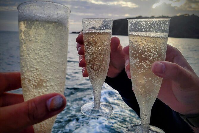 Unrivalled Coastal Tour to Saint's Bay Harbour - Who Will Love This Experience