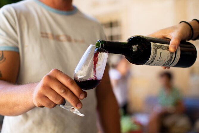 Unusual visit & Tasting of our organic wines - Who Will Appreciate This Tour?