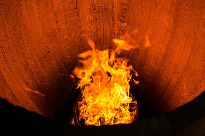 Unusual wine tasting in DARWIN (Bordeaux)! - Who Is This Tour Best For?