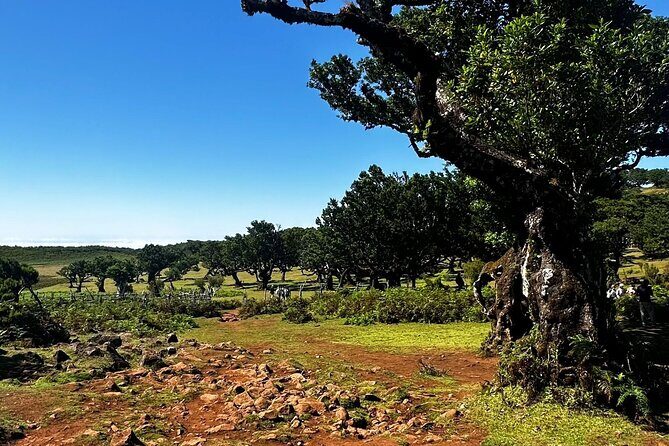Unveil West Madeira: 4x4 Cliffs, Pools & Views - Final Thoughts