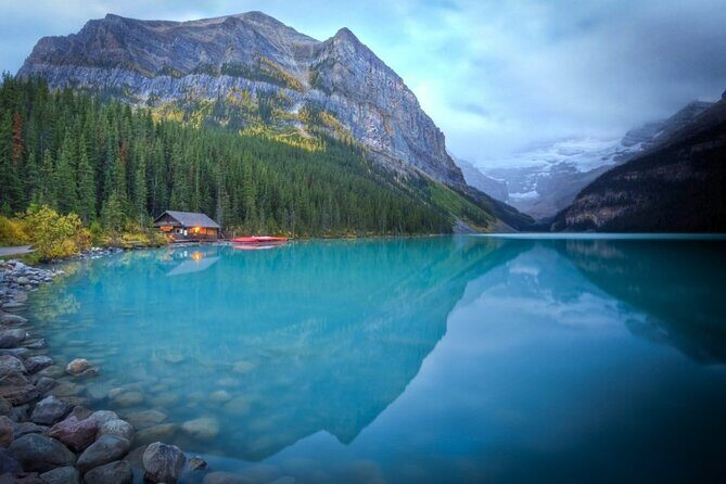 Up to 6 Guests Private Tour Lake Louise and Icefield Parkway - Peyto Lake: The Maple Leaf of the Rockies