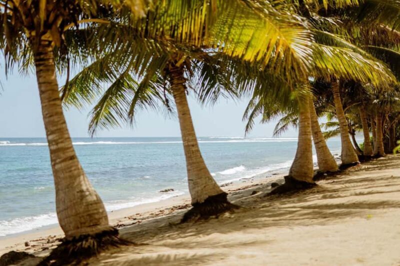 Upolu Samoa Full Day Private Tour - A Closer Look at the Upolu Samoa Full Day Private Tour