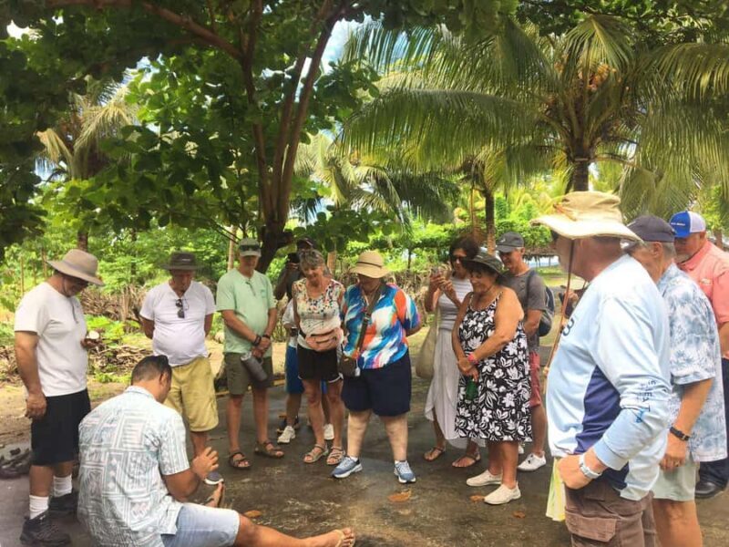 Upolu Samoa Full Day Private Tour - FAQ