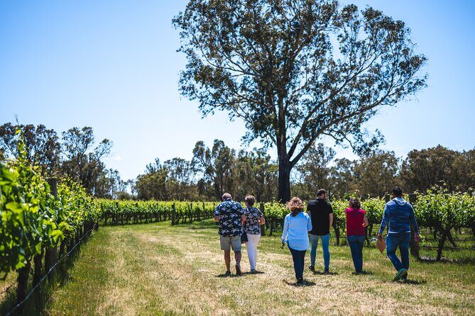 Upper Reach Winery: Swan Valley Winery and Vineyard Tour - Why This Tour Works