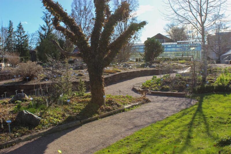 Uppsala: City Highlights and Hidden Gems Walking Tour - Who Will Love This Tour?