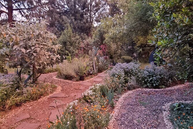 Urban Orchard in Desierto de los Leones in Mexico City - Key Points