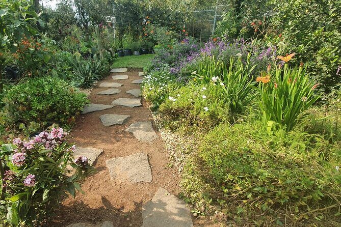 Urban Orchard in Desierto de los Leones in Mexico City - The Value of the Urban Orchard Tour