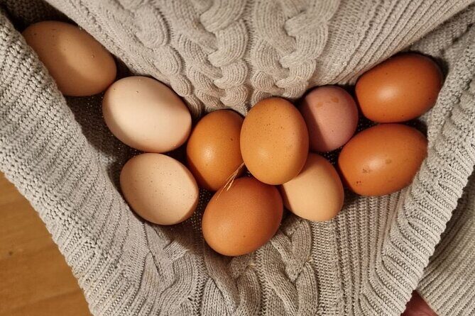 Urban Orchard in Desierto de los Leones in Mexico City - Practical Details and Tips