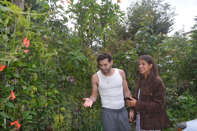 Urban Orchard in Desierto de los Leones in Mexico City - FAQ