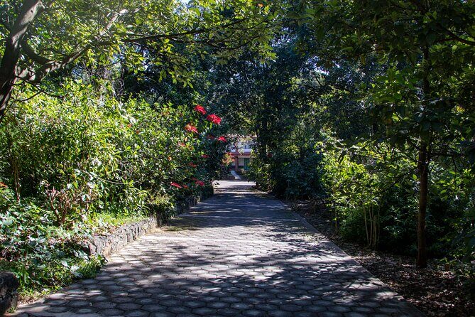 Uruapan Tour and Avocado Garden with Breakfast - An In-Depth Look at the Uruapan Tour and Avocado Garden Experience