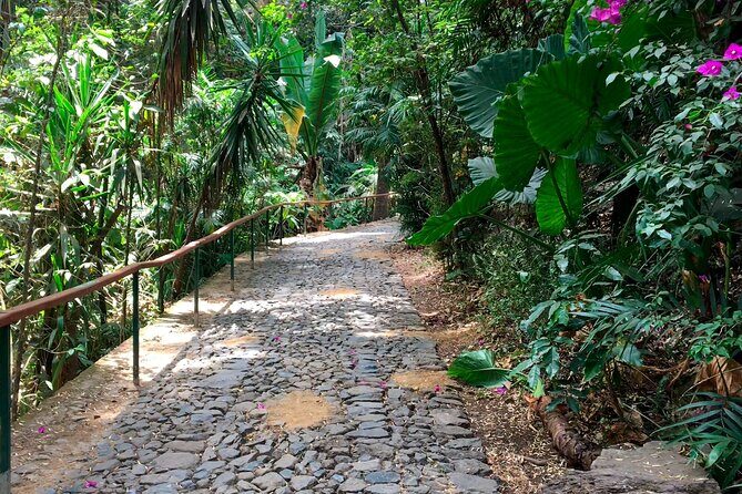 Uruapan Tour - Final Thoughts: Is the Uruapan Tour Worth It?