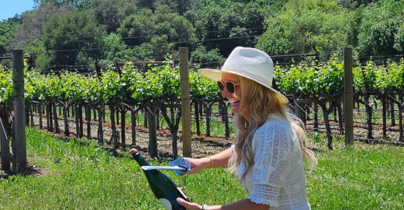 USA/California/Napa: Private Wine Tour for up to 6 guests - Final Thoughts