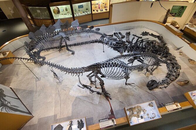 Utah & Arizona National Parks: Small Group 5-Day Tour - Day 4: Ancient Forests and Space Rocks