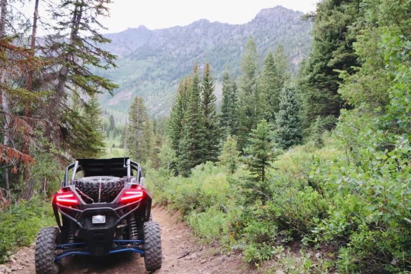 Utah: Guided UTV Tour with Local Expert - Introduction to the Utah UTV Adventure