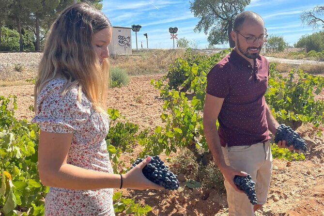 Utiel-Requena Excursion: Uncover the Flavors of Valencia's Wine - Key Points