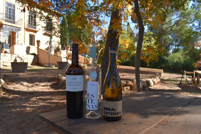 Utiel-Requena Excursion: Uncover the Flavors of Valencia's Wine - A Closer Look at the Itinerary