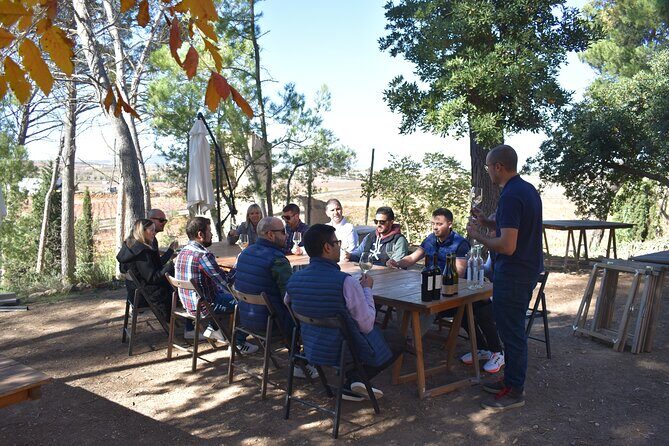 Utiel-Requena Excursion: Uncover the Flavors of Valencia's Wine - Final Thoughts: Is This Tour for You?
