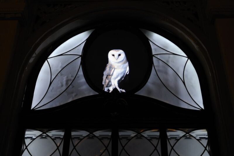 Utrecht: Guided Lumen Walking - FAQ