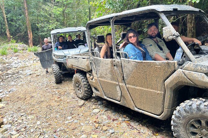 UTV 4wd Cassowary Falls and Daintree Rainforest Adventure tour - An Inside Look at the Daintree Adventure Itinerary