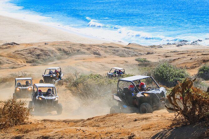 UTV Adventure + Free Camel Ride & Sky Bikes - Key Points
